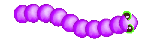 The history of Snake